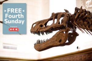 H-E-B Free Fourth Sunday - Texas Science & Natural History Museum
