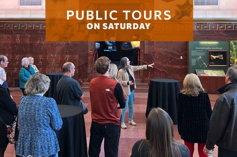 Public Tours - Texas Science & Natural History Museum