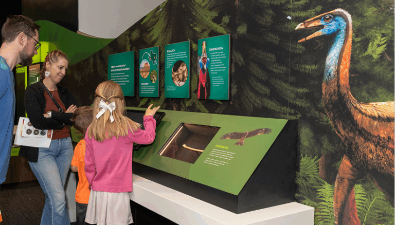 Exhibits - Texas Science & Natural History Museum