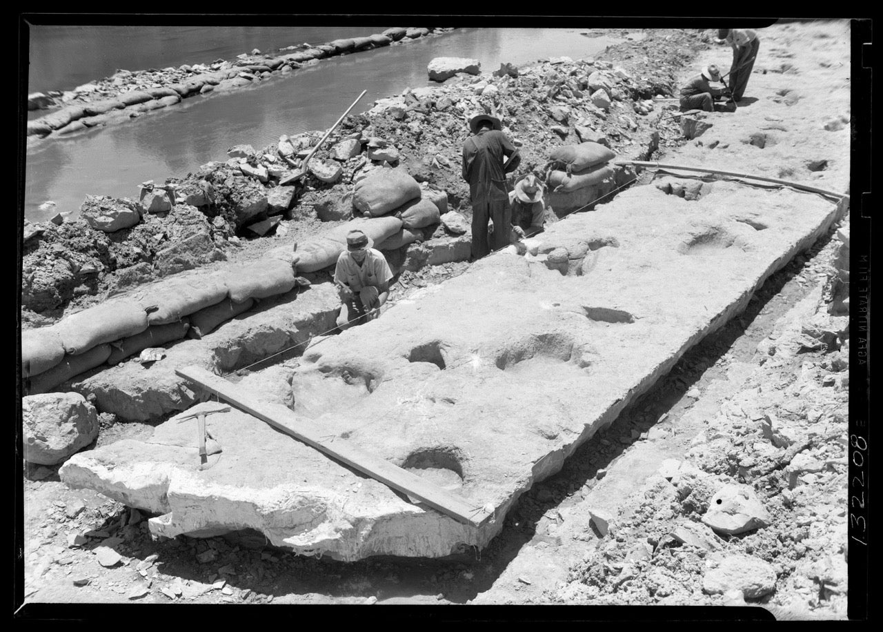 Lead Gift Establishes the Sarah and Ernest Butler Dinosaur Trackways ...